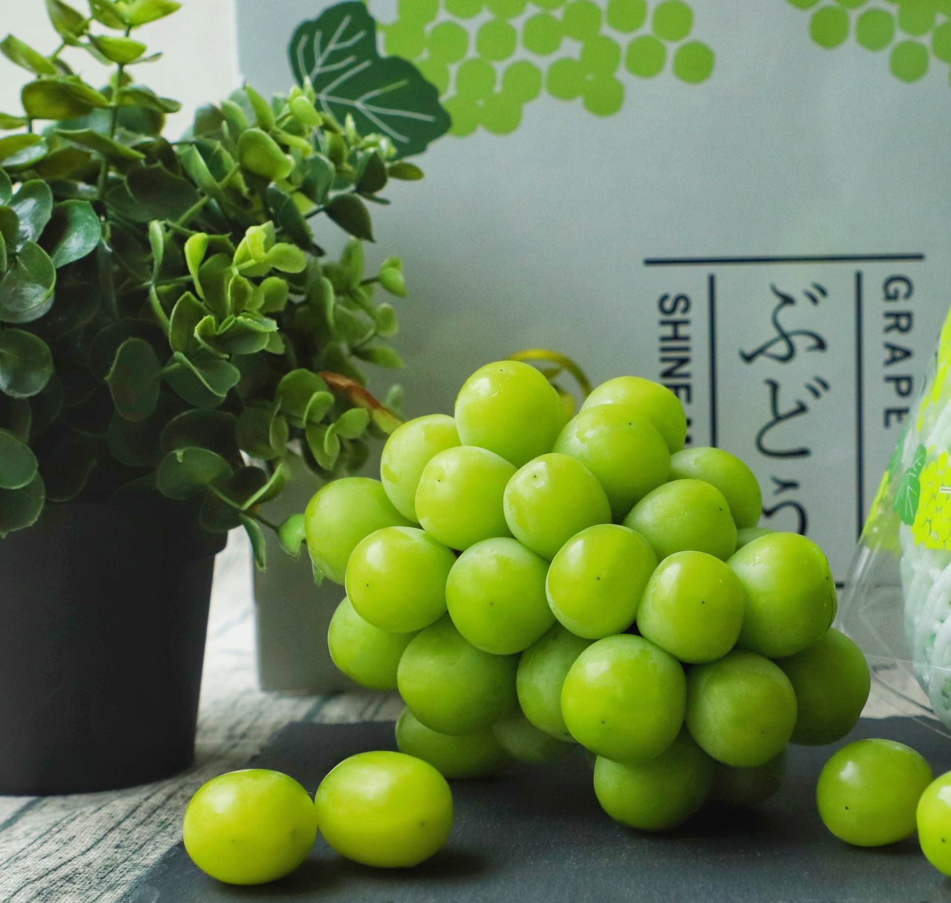 フルーツ ｜ Jewelry Farm