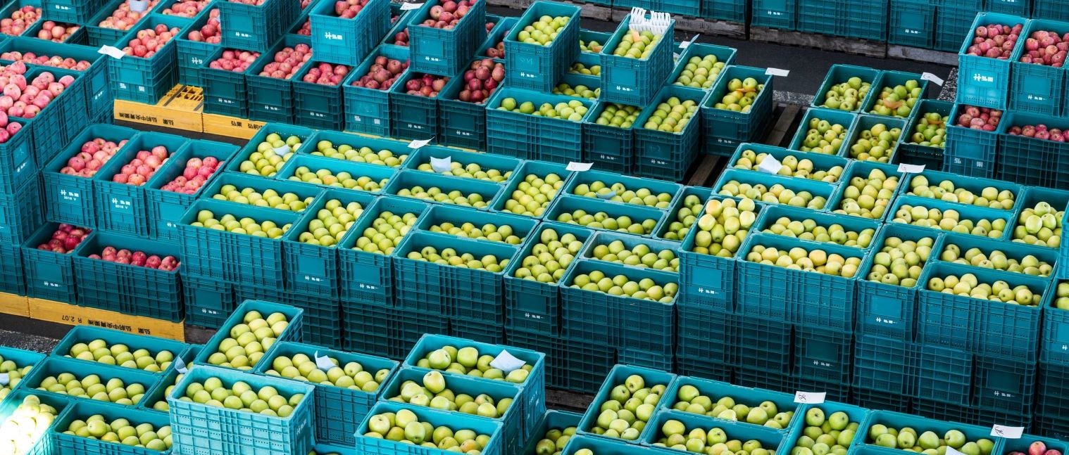 Shinano Gold ｜ Jewelry Farm