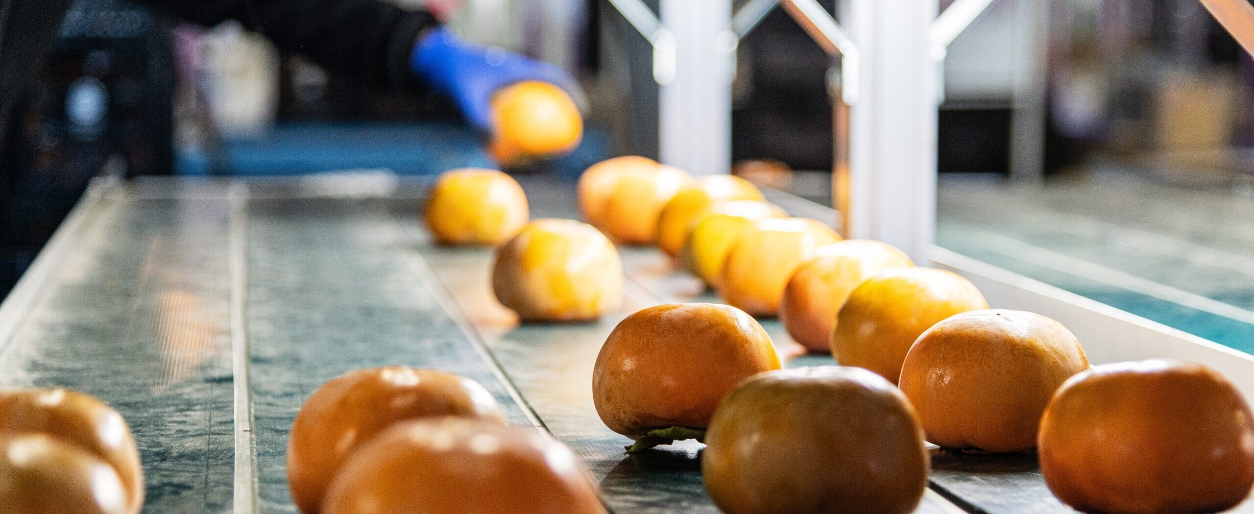 JEWELRY FARMの戦略 ｜ Jewelry Farm