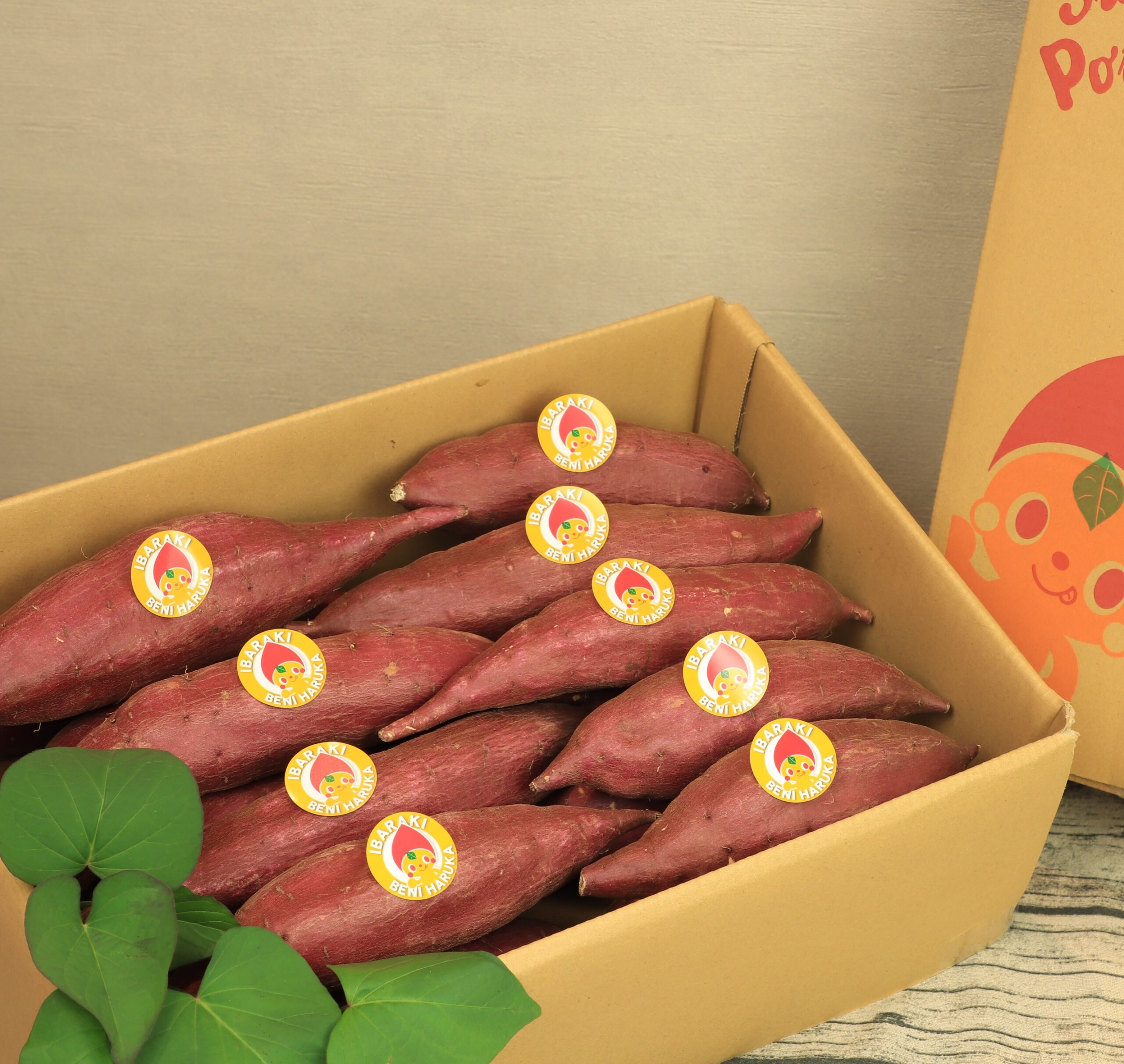 フルーツ ｜ Jewelry Farm